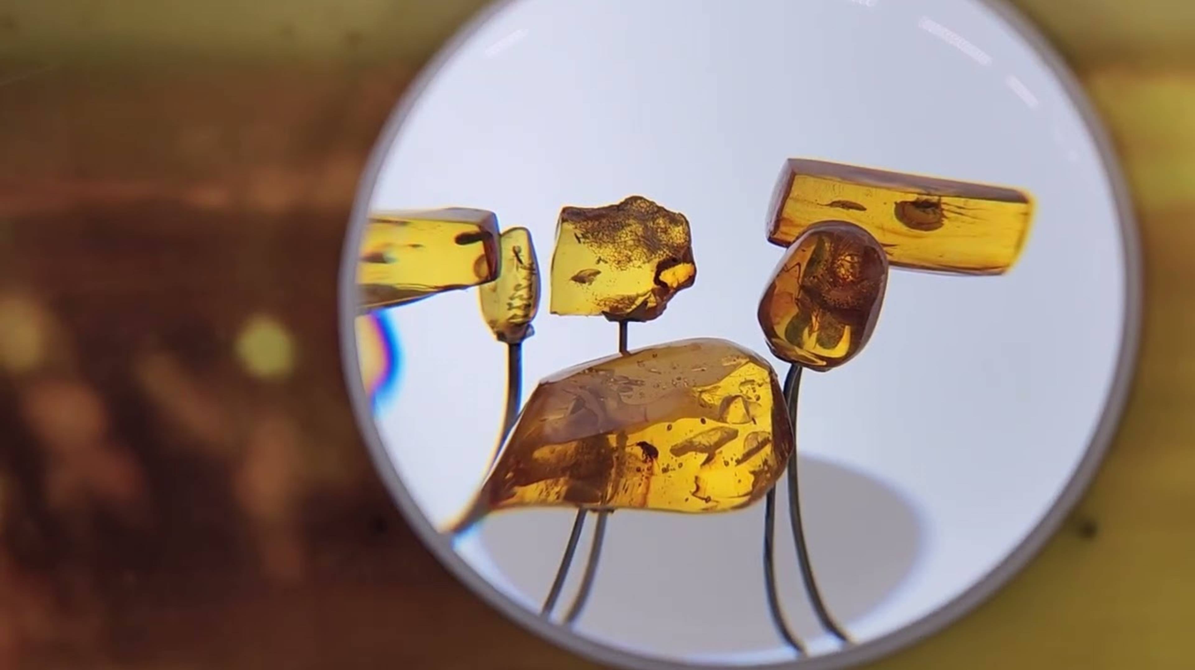 💥Ретрит в Паланге-25： Репортаж из МУЗЕЯ ЯНТАРЯ, где ранее у Марины был контакт с ДУХОМ ЯНТАРЯ!💥