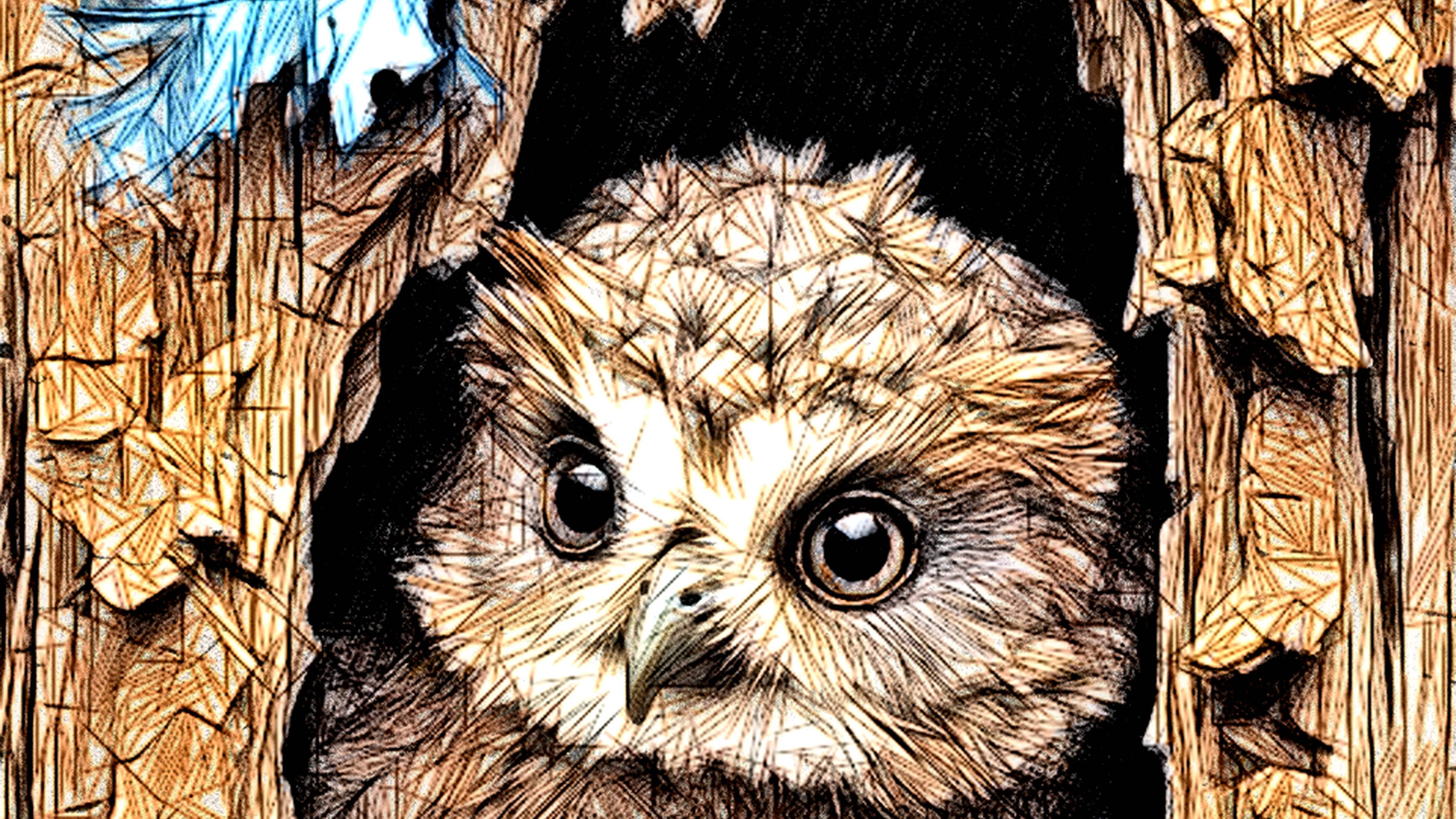 Совушка в дупле