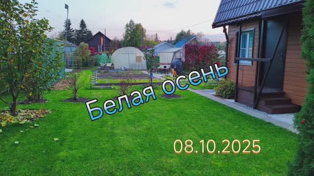 Белая осень