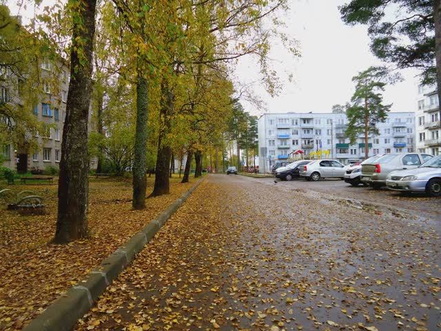 2025-10-11.  ЗОЛОТАЯ ОСЕНЬ В ОЗЁРНОМ.