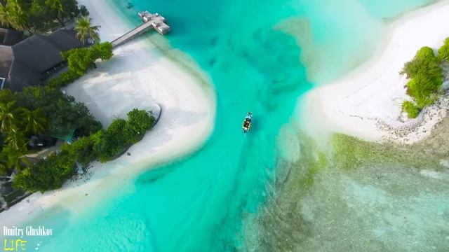 Dmitry Glushkov - Life