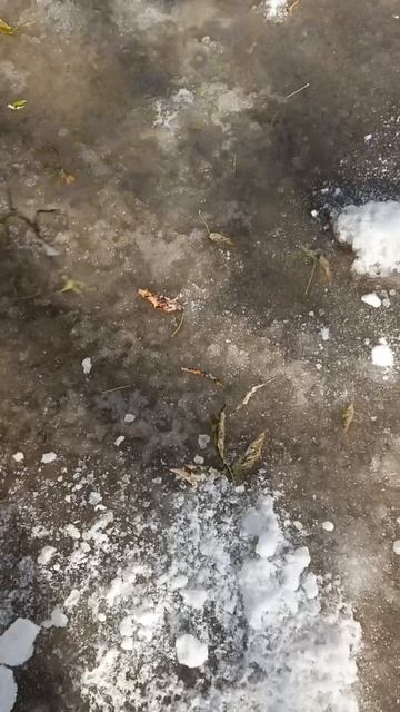 рыбачим 😵😏😂