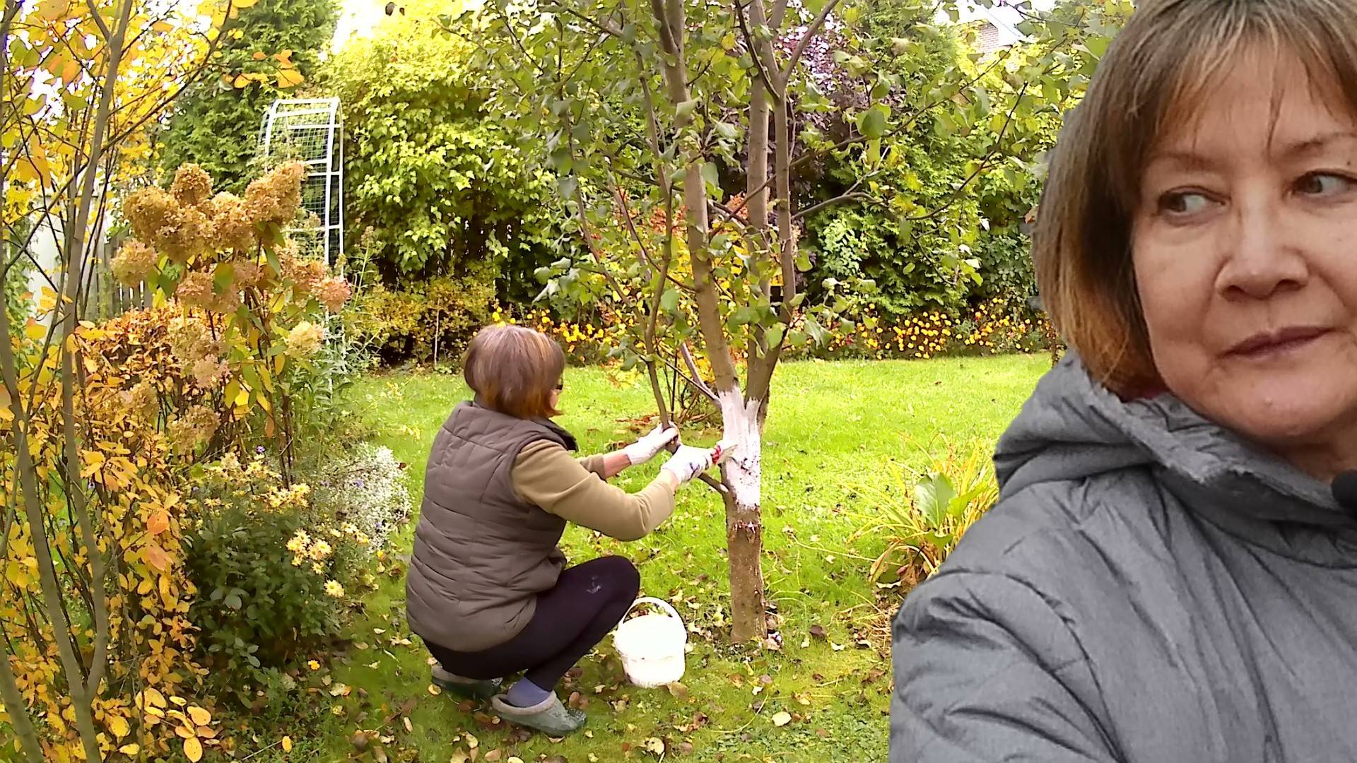 Осенние работы в саду  и дома. 10 октября 2025 Сад и огород на 4 сотках