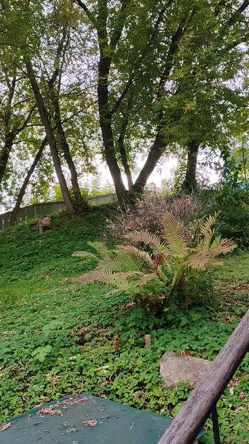 Киров, Купель на набережной Вятки 02.10.2025