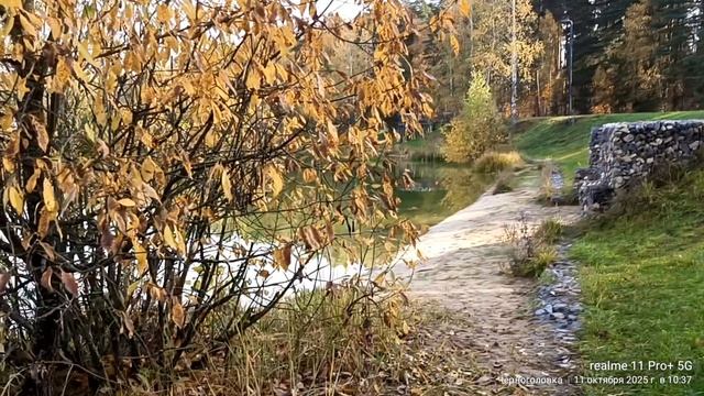 Черноголовка - осень на Южном озере.