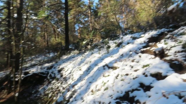 В сосновом бору. Про настилы из брёвен и лестницу, через речушку. Кемерово