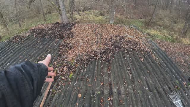 Крыша. Убираю листву с крыши.