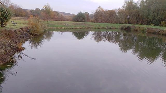 🍂 Осенне-рыбный мини-влог: улов 🎣, 🐟 краски золотой осени 🍁