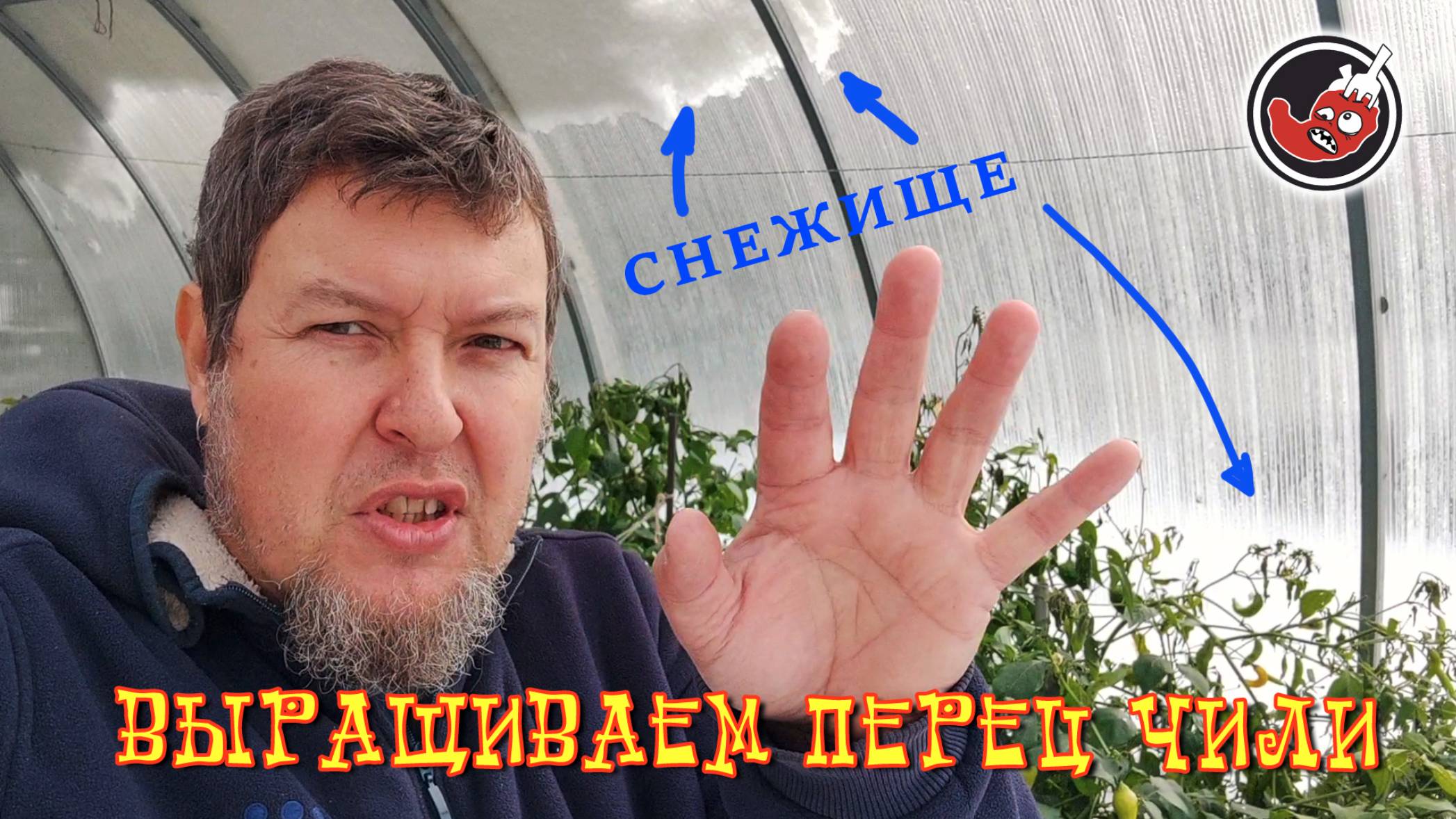 Теплица под снегом. Жив ли перец?