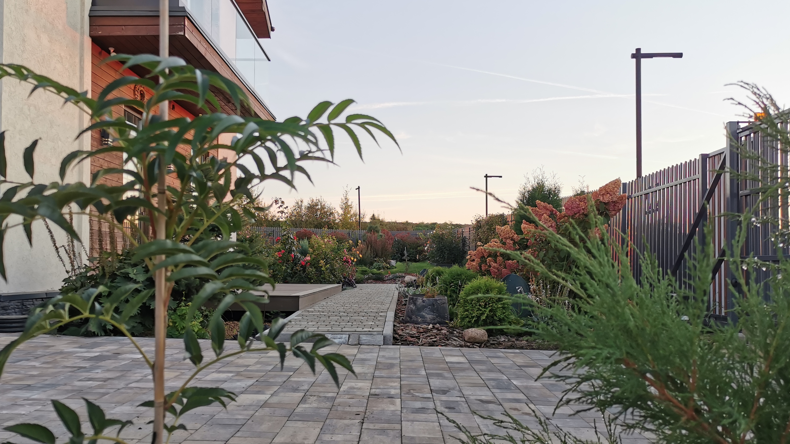 Новая клумба, часть 1. Осваиваем север. 24.09, 02.10.2025 восток Ленобласти