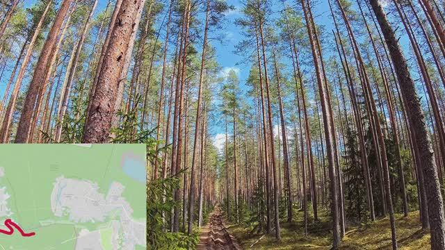 Поход вдоль реки Сестра 4 Серия