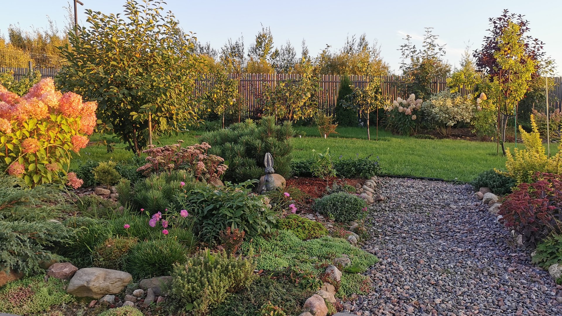 Сажаю новинку метельчатую гортензию Мечта Лесково. 17.09.2025 Восток Ленобласти