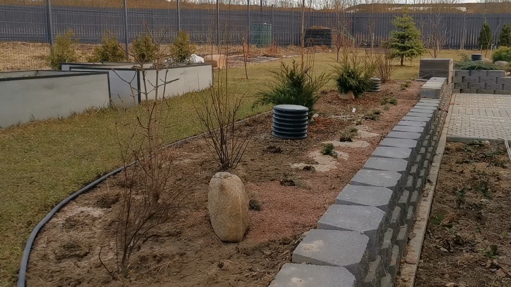 Сад на ветру начинает свой третий сезон.  30.03.2025. Ленинградская обл.