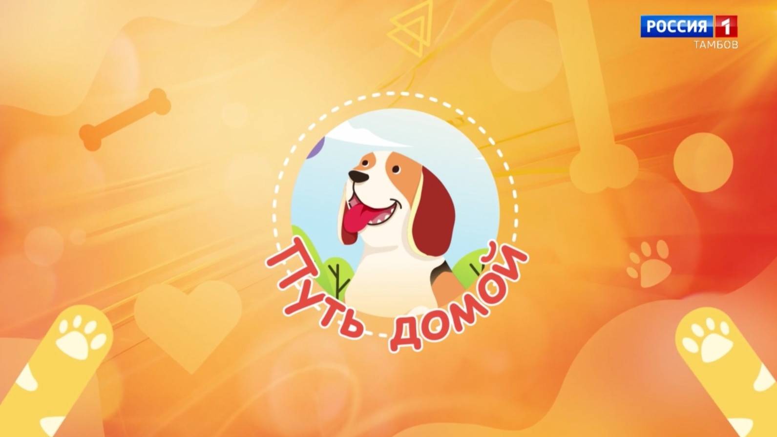 Путь домой. Кот Симба