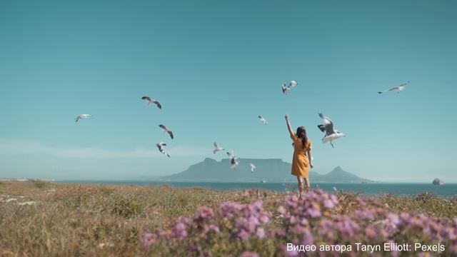 Qiynaladi dil (VIDEO VERSION) DNDM2021