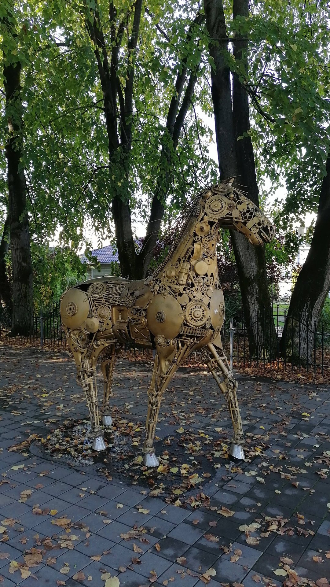 Молодежный сквер в Краснодаре. Велопокатушки.