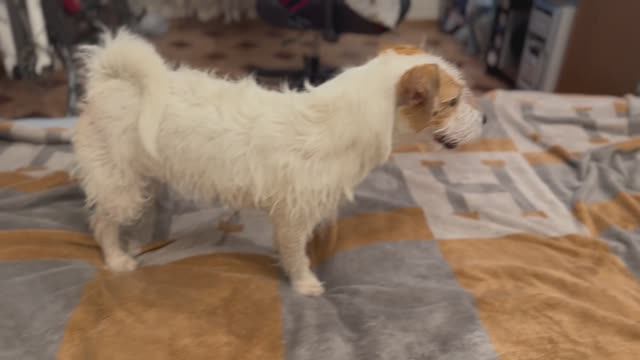 Оботру я всю кроватку