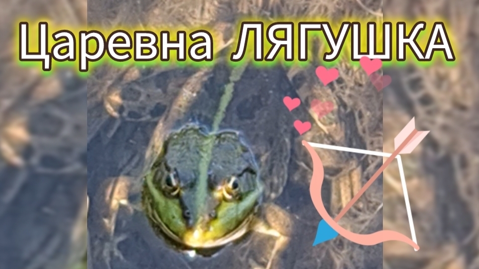 Царевна Лягушка. Владимир Асмолов. Лесное озеро.