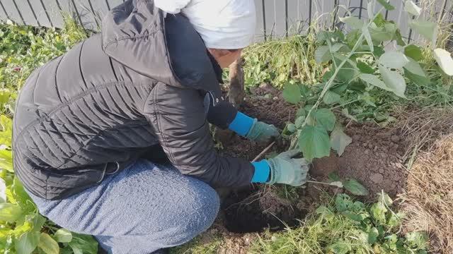 Дневник за 11 октября 2025. Насыщенный рабочий день