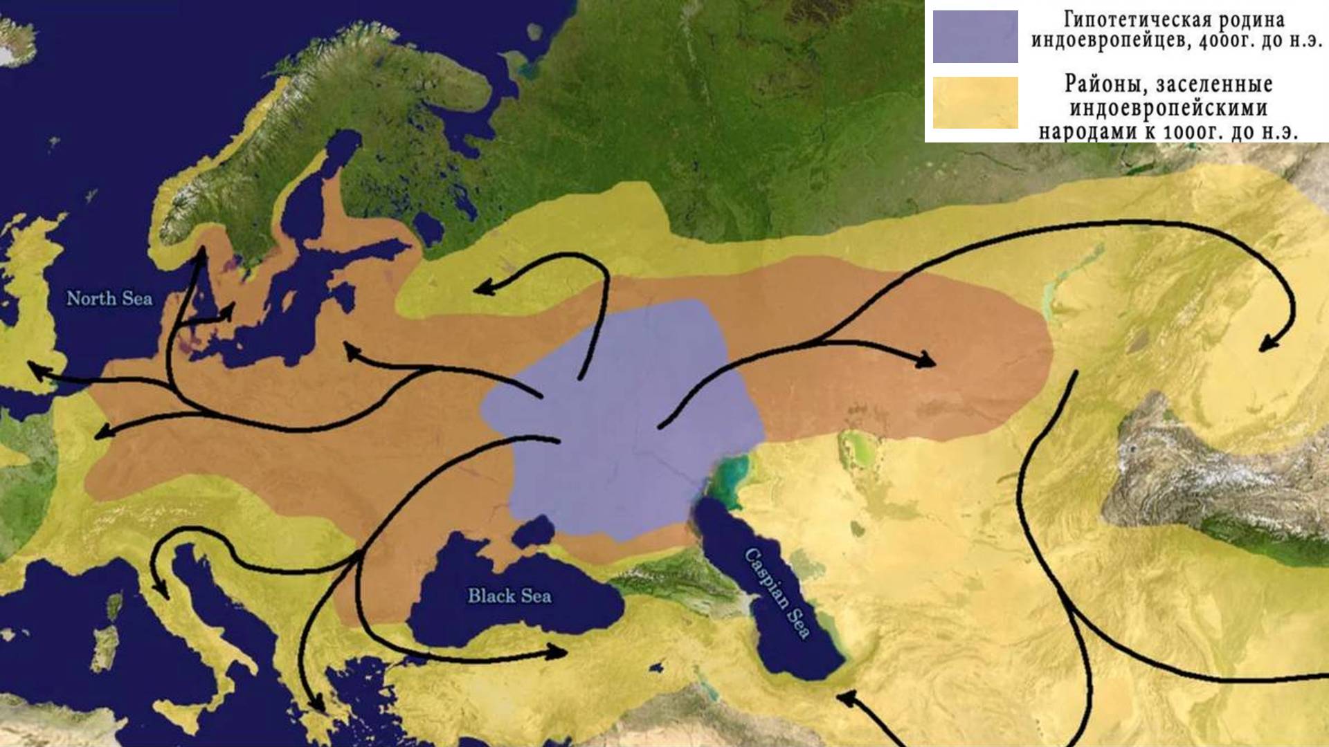 Индоевропейцы их происхождение, расселение и роль в этногенезе славян и других народов.
