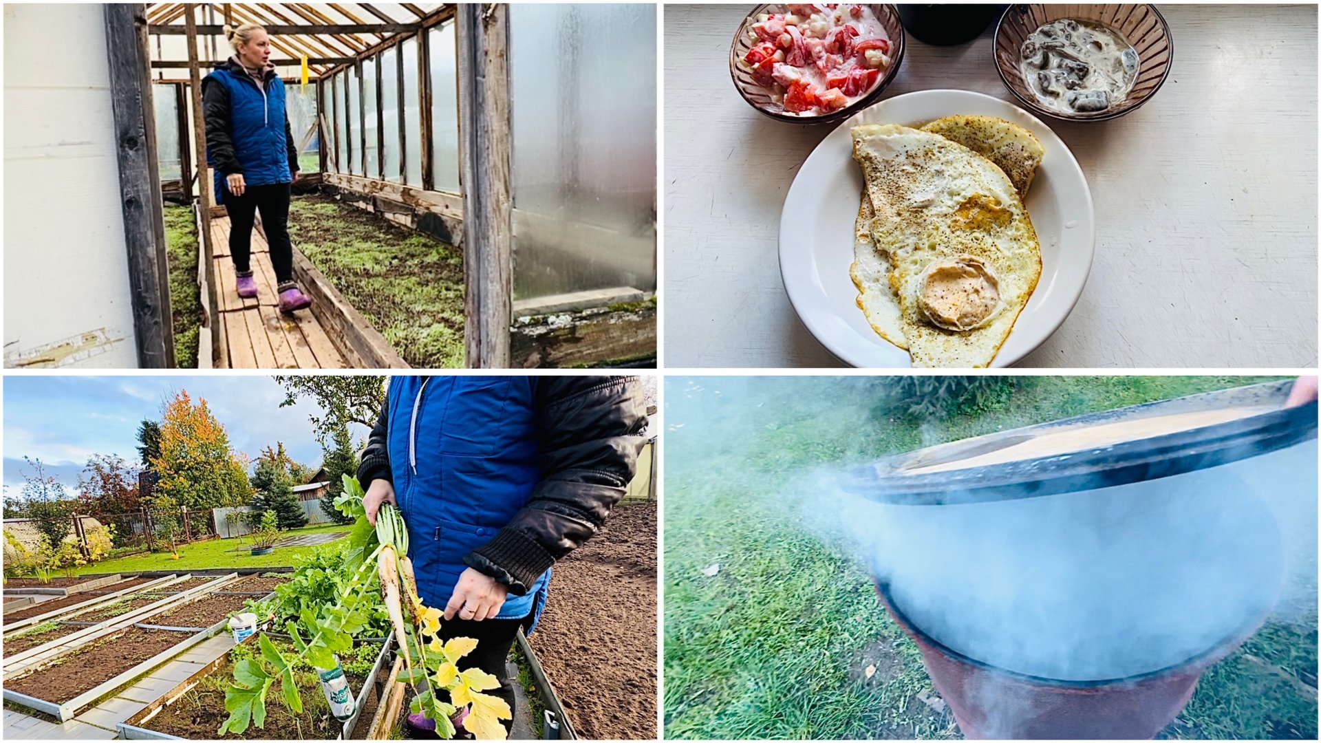 27 сентября. Часть 6. Дачный обед. Убираюсь в удобрениях. Пробую дергать дайкон и репу