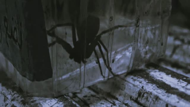 БАХРОМА #ГТНТ