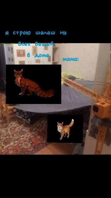 я строю шалаш из всех вещей в доме