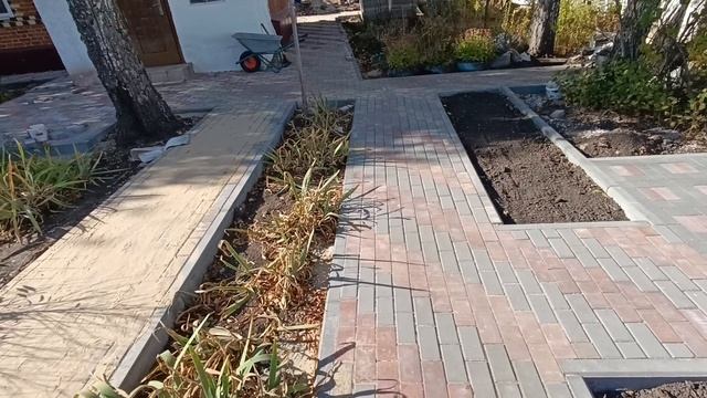 Пятое видео поле 24 дней работы мастра