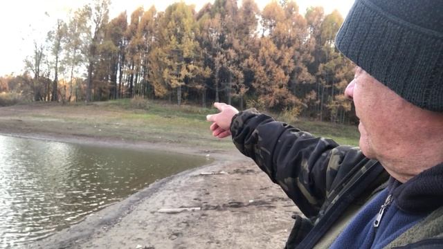 Разочарование...11.10.25.