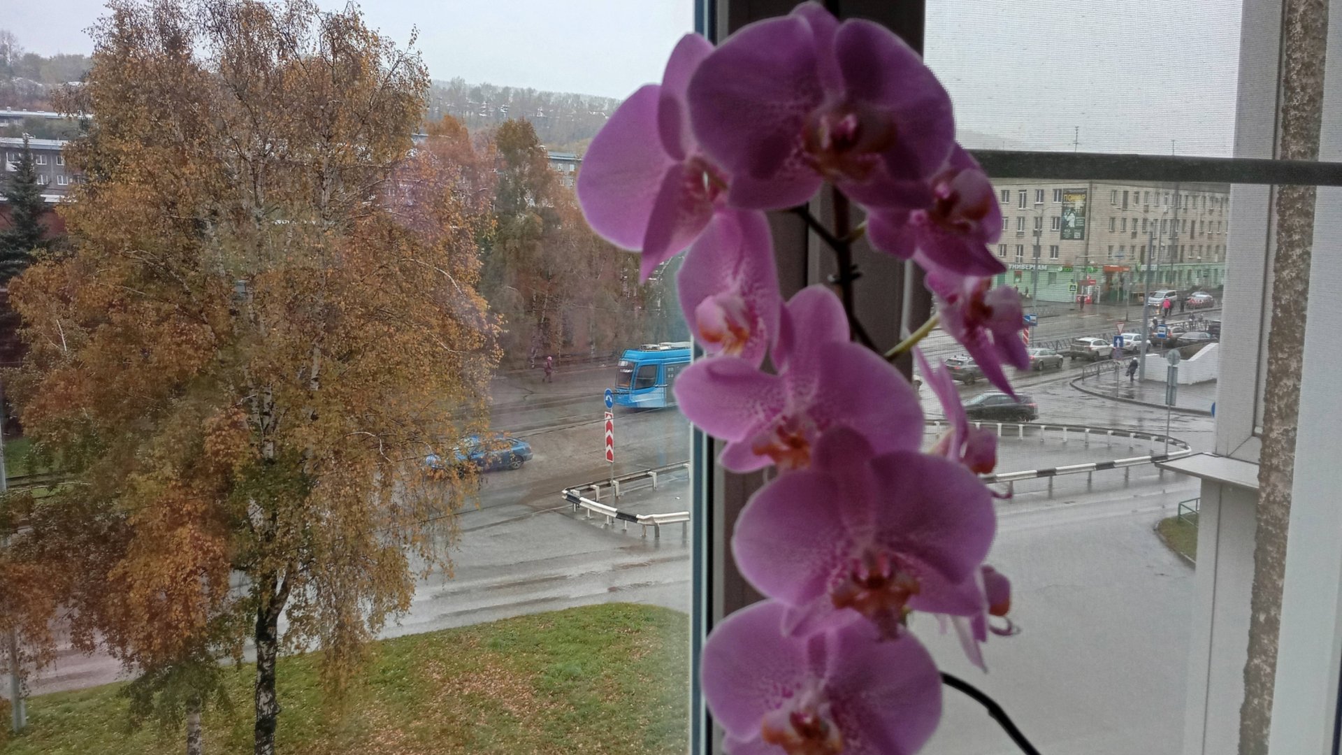 Я боюсь тебя потерять😢💔