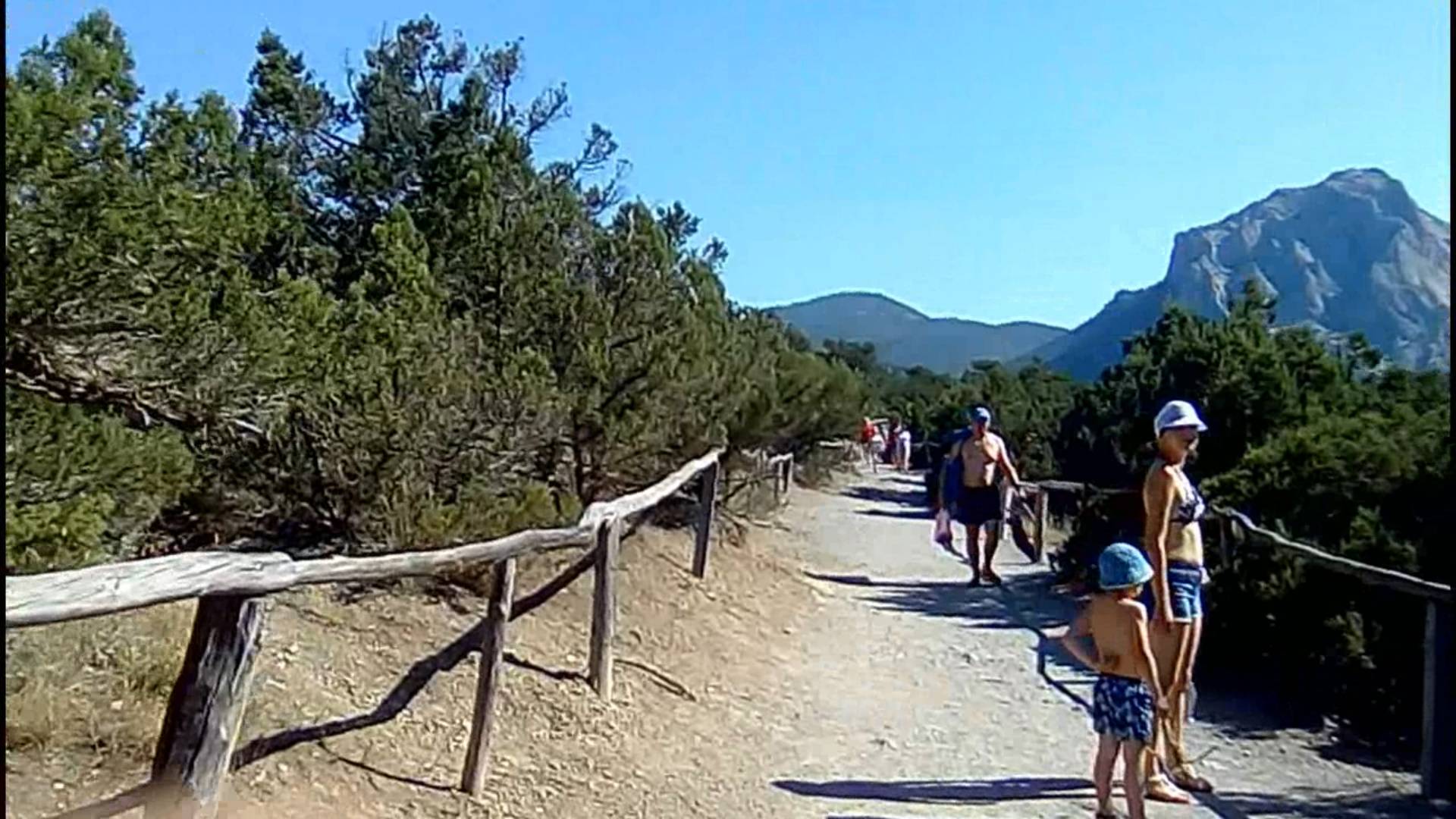 Реликтовая можжевеловая роща около поселка Новый Свет. Крым