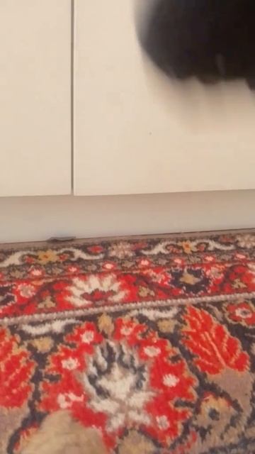 ой😱 каж😅етс😅 я😲  дз🥴е🙂↕️н сл🥳о🤣ви🥵ла