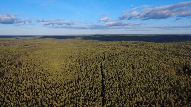 Человека в лесу сверху не видно. Жгите костер, вас найдут.