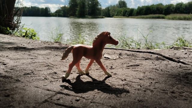 фотосет 🥳🥳🥳