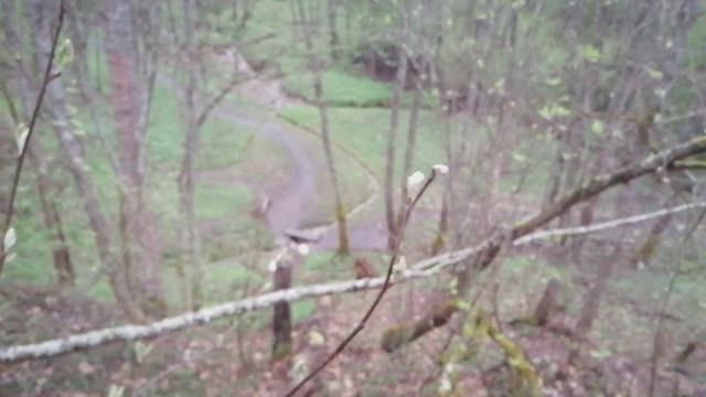 Как выглядит родник