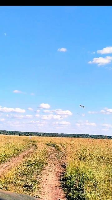 По родным прсторам..Сторонка Родная..