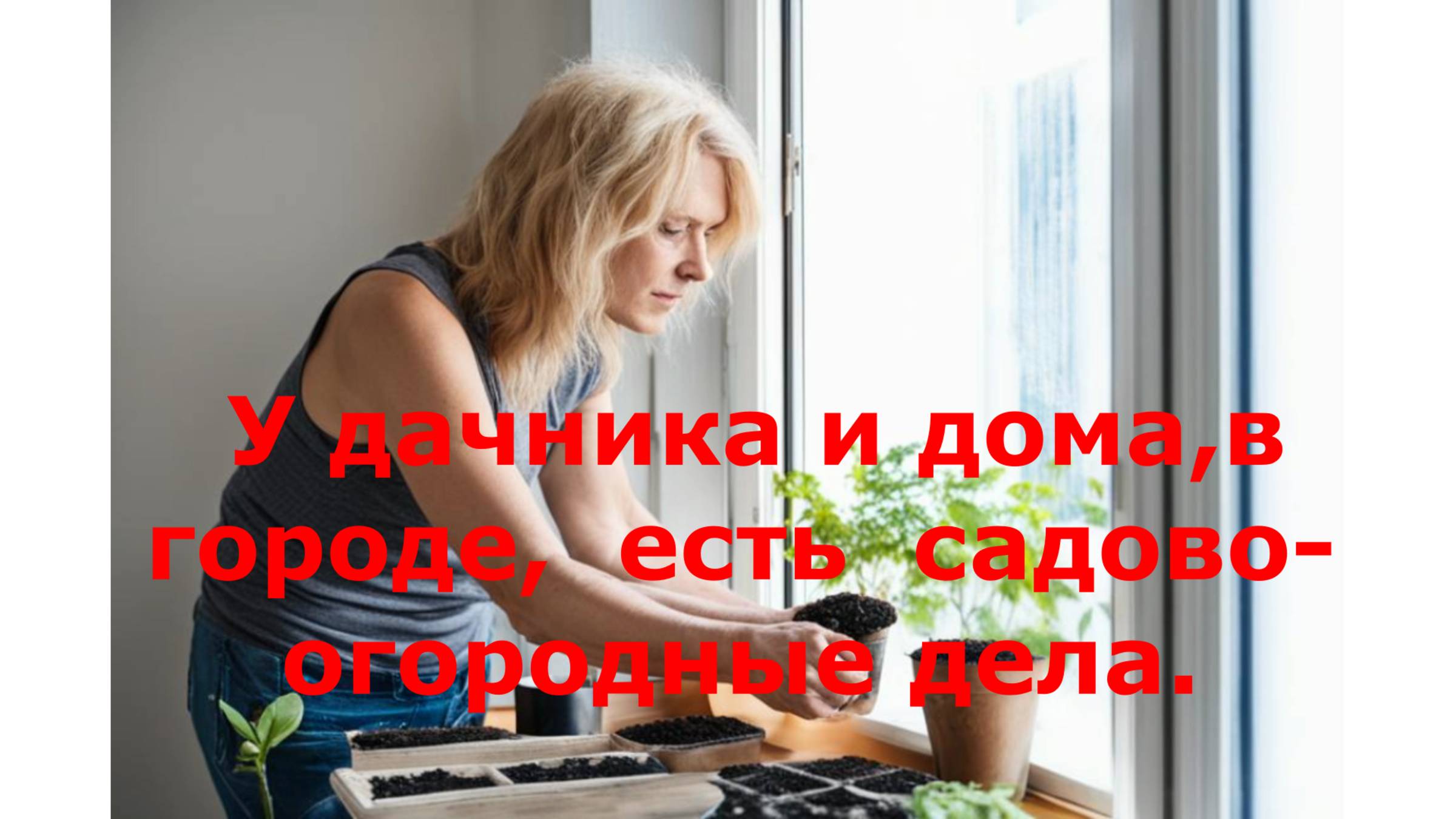 Делаю заготовку земли под рассаду с осени. Вып.№ 7.