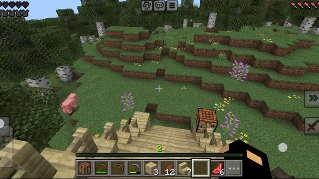 Minecraft online с Тимофеем#1