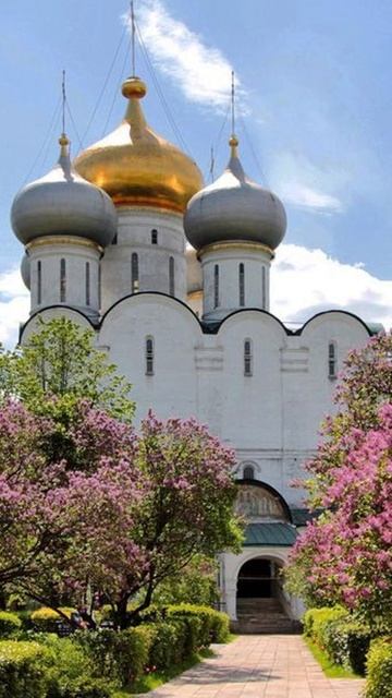 Душевный лекарь#Церковь#shortvideo#shorts#Молитва#Православие