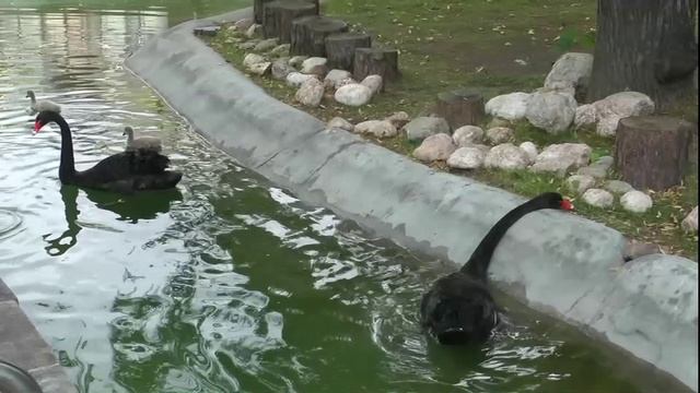 Московский зоопарк