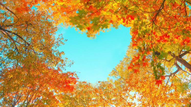 Осень Каррера.