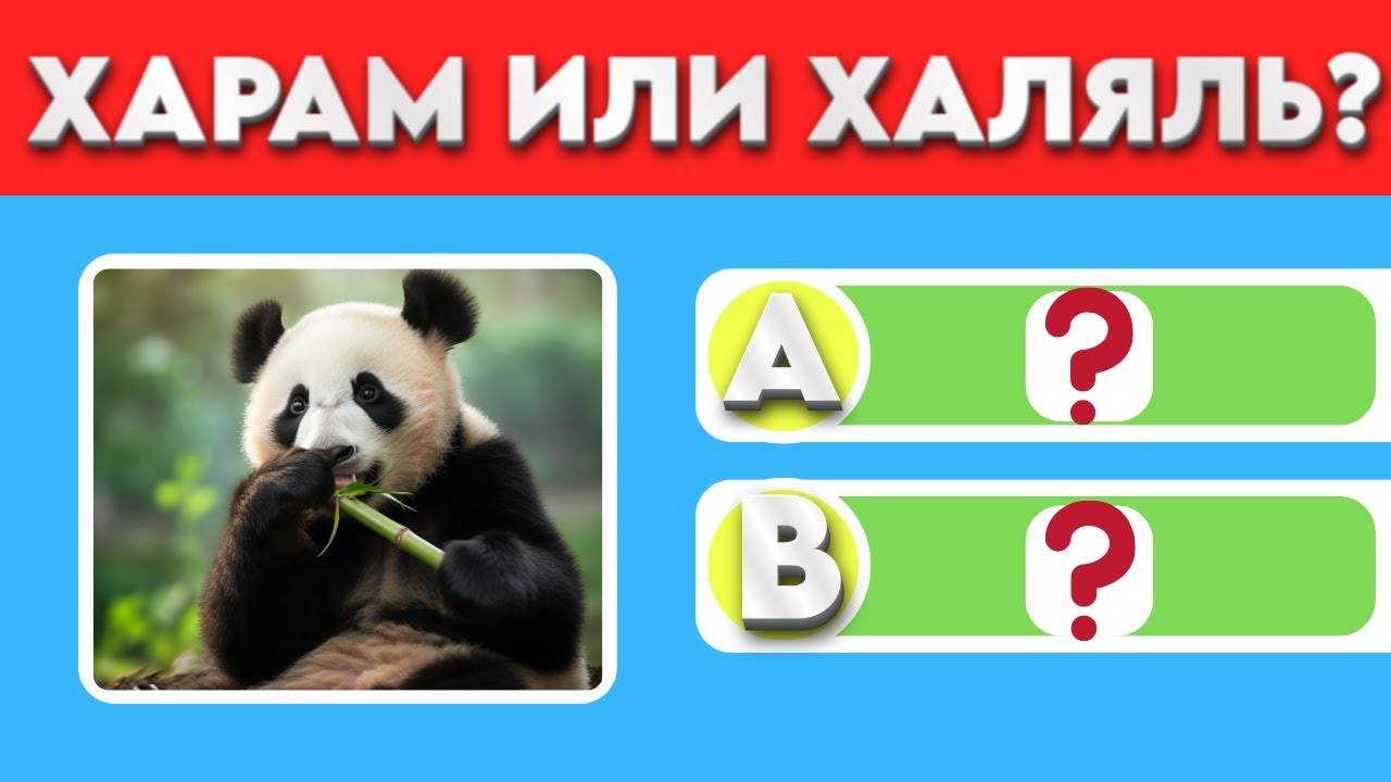 ТЕСТ! Харам или халяль еда? Проверь свои знания! Ислам тест