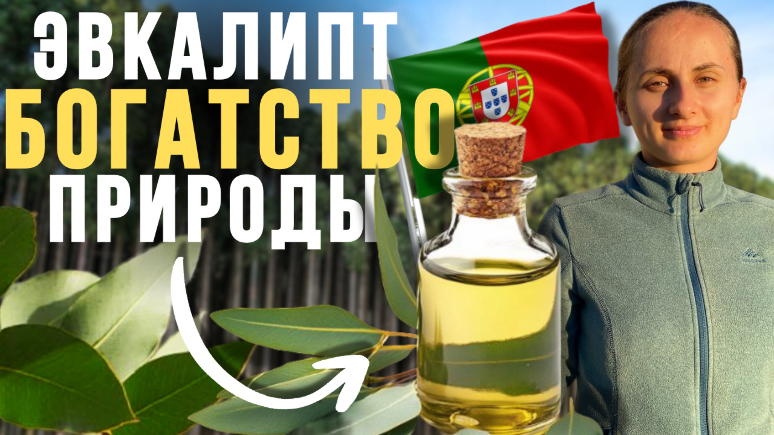 Эвкалипт: как одно дерево изменило природу и экономику мира 🌳