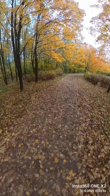 12 октября 2025 Санкт-Петербург Южно-Приморский парк. Поездка на моноколесе.