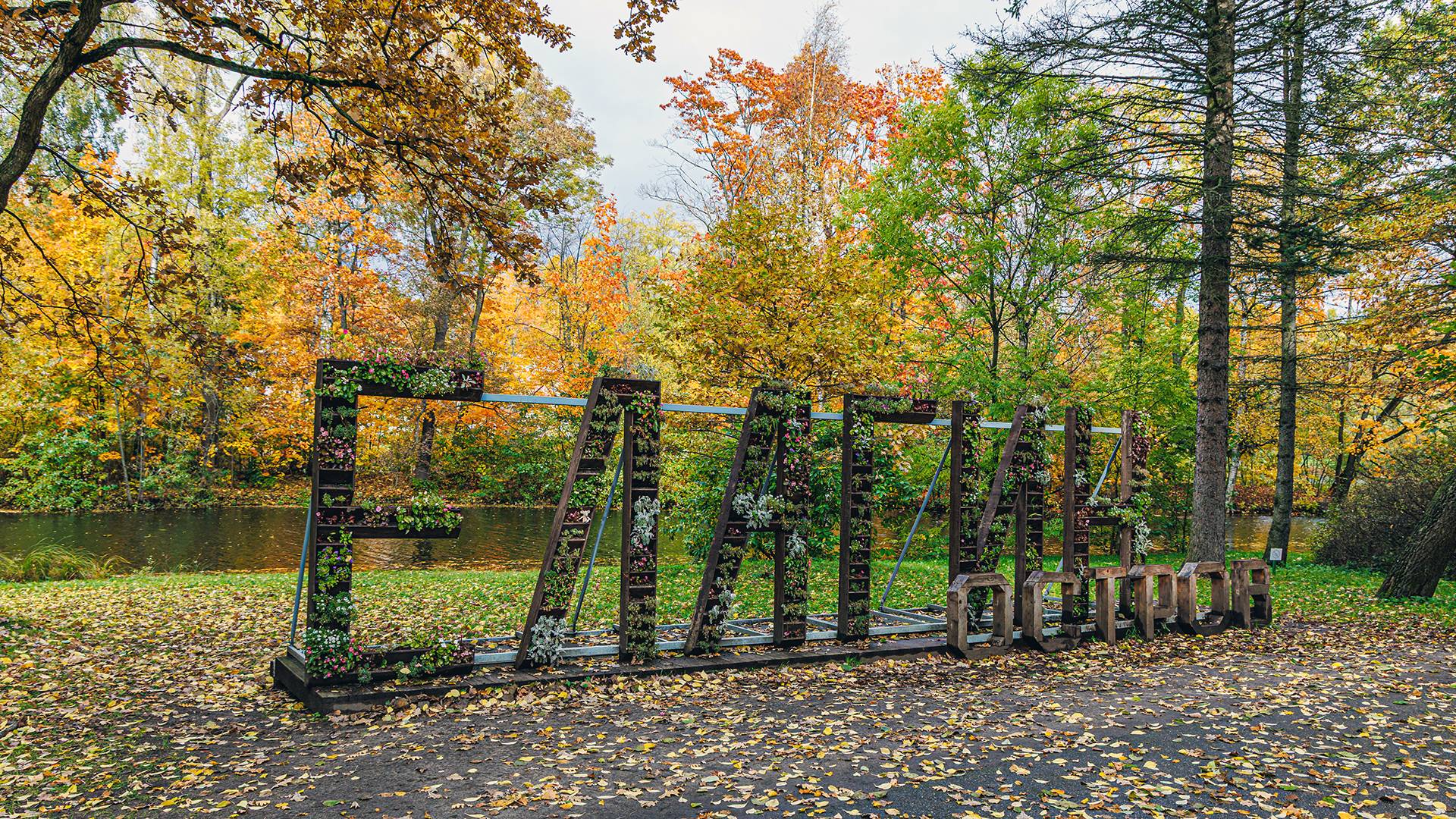 Бабье лето в стиле Bossa Nova