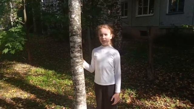 Николай Рубцов "Березы".