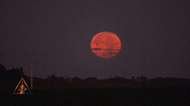 PF MEDITATION Ambience - Relax into nostalgic bliss (inspired original music)