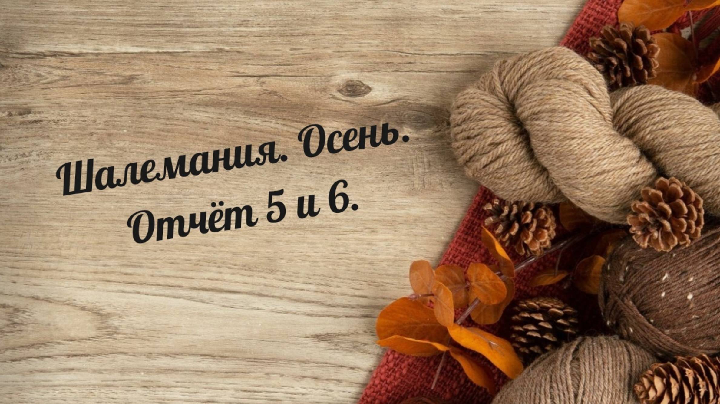 Шалемания. Осень. Отчёт 5 и 6.