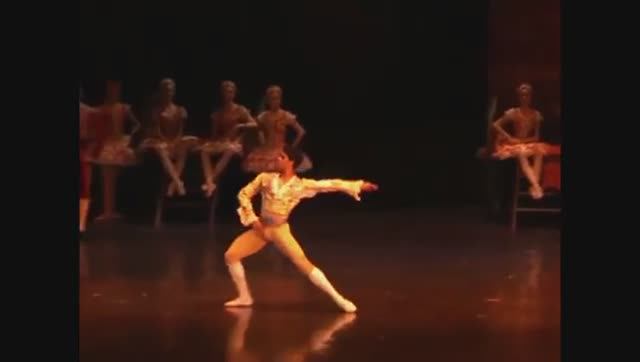 Топ 10 лучших исполнителей роли Базилио из балета "Дон Кихот