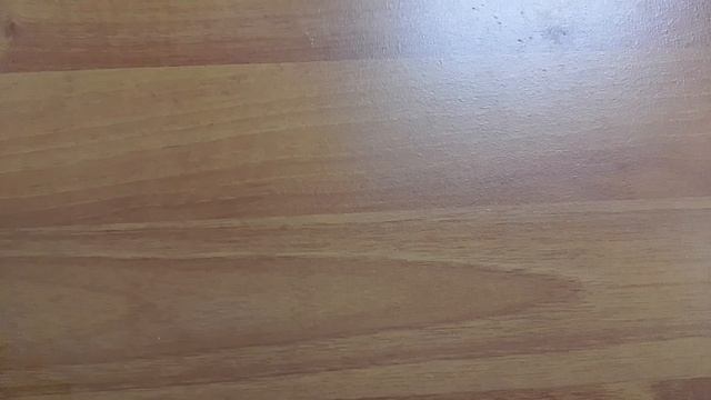 СП "Радуга 4" Оранжевая неделя, участник #4.